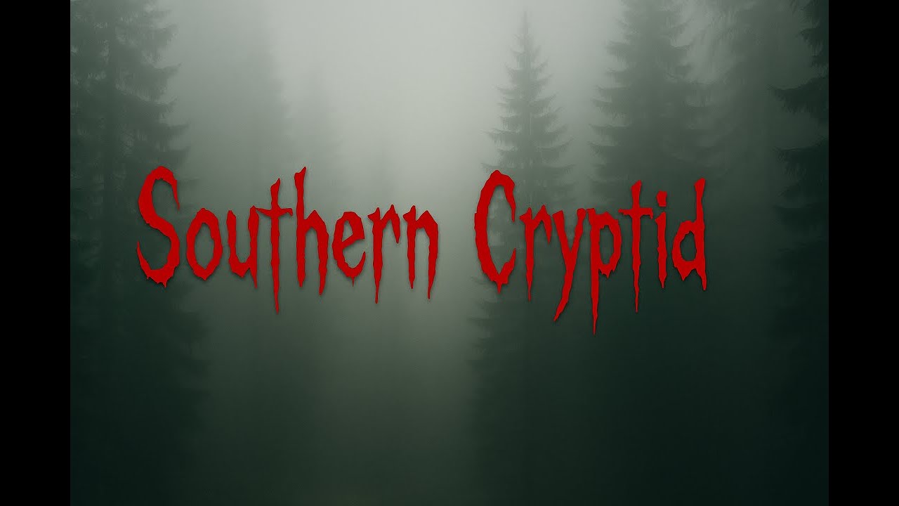 Mysterious Things Caught on Camera That No One Can Rationally Explain Slapped Ham Reaction ...