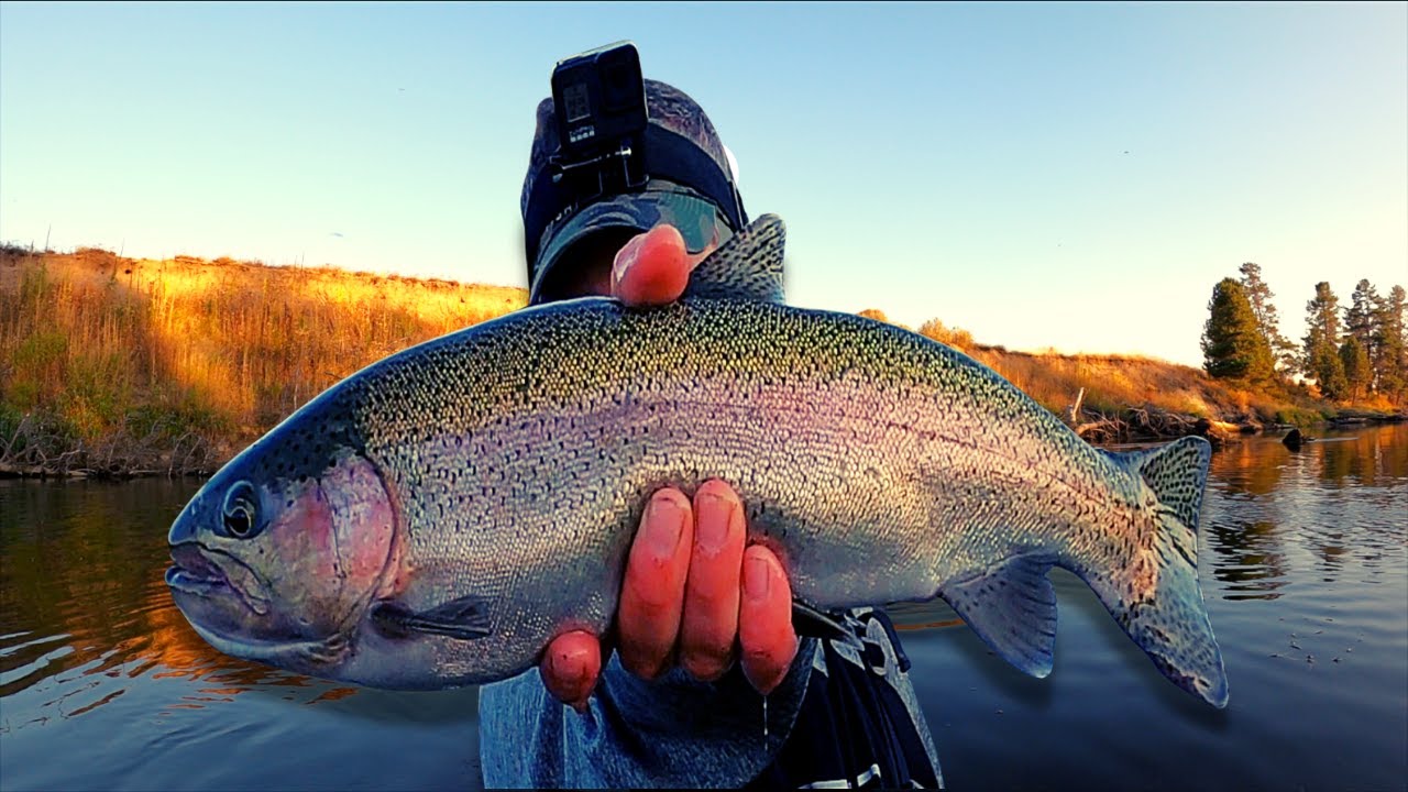Sunset Rainbows - The Golden Hour of October Trout Fishing - YouTube