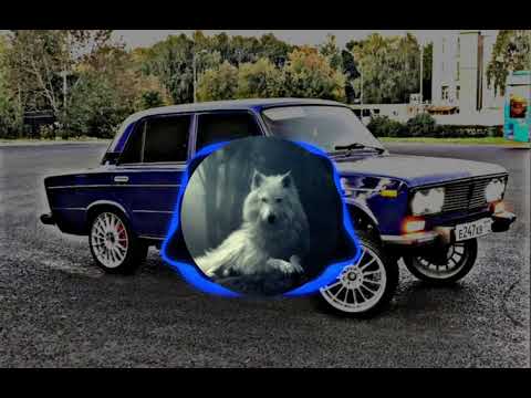 Taoba-Hər kəsin axtardığı Gürcü mahnısı