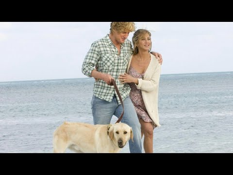 16 лучших фильмов, похожих на Оптом дешевле (2003)