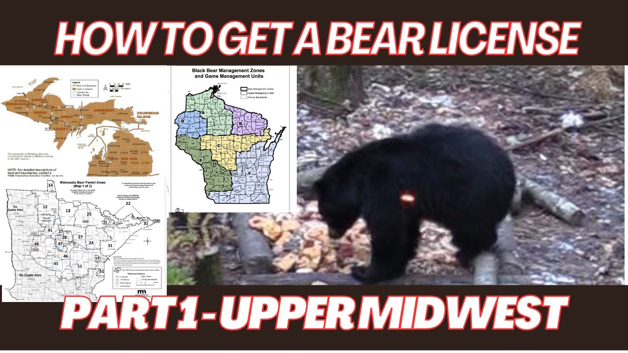 How to get a bear hunting license in Minnesota, Wisconsin and Michigan ...