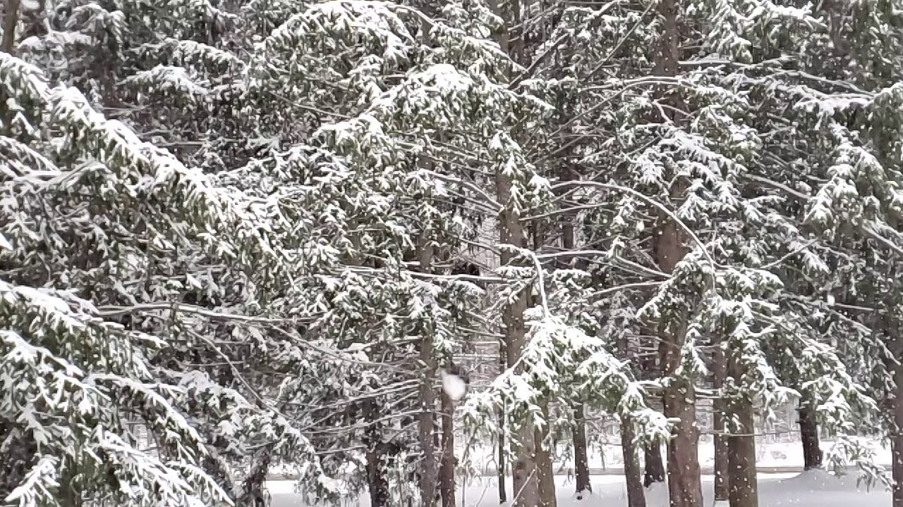 Super slow motion falling snow - beautiful Snowfall - YouTube