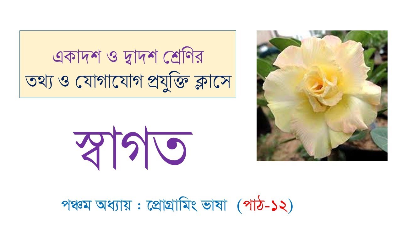 Hsc Ict 5th Chapter Programming Language Part 12 Youtube