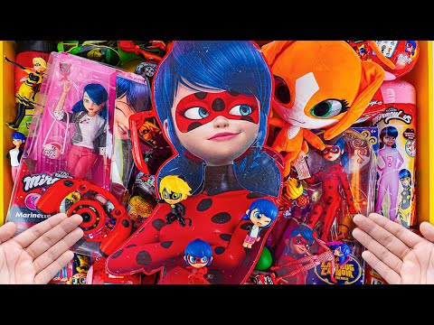🎁 Unboxing a HUGE Miraculous Ladybug Mystery Box Full of Toys! 🐞 - YouTube