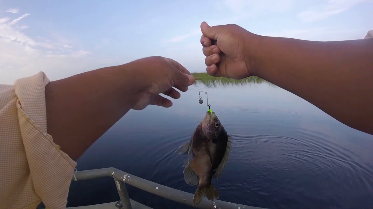 Randy Fishing Kissimmee Chain of lakes - YouTube