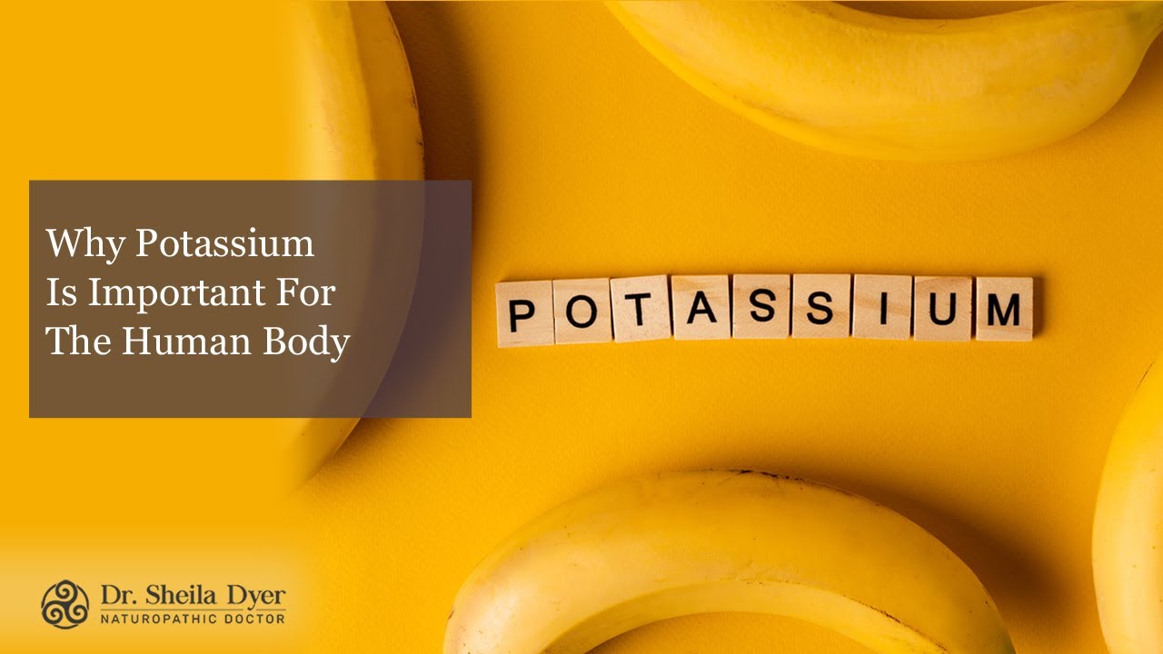 Why Potassium Is Important For The Human Body | Toronto Naturopathic ...