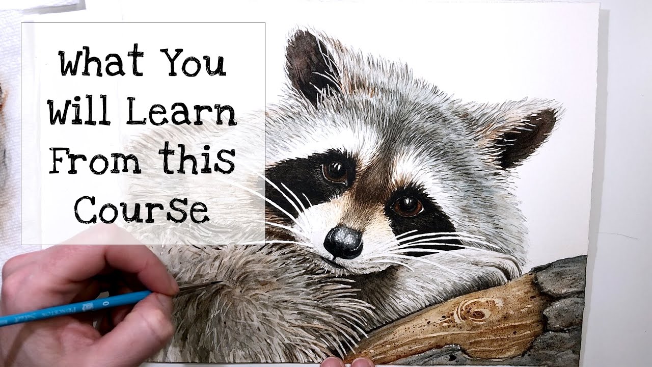 Raccoon Watercolor Course Preview - YouTube