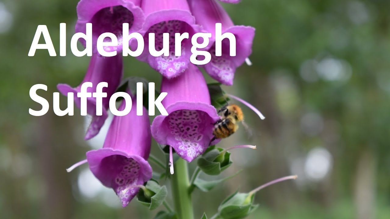WALK: Aldeburgh Suffolk | Sailors Path - YouTube