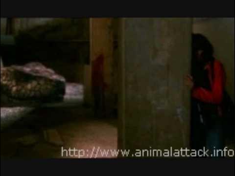 Movie Stills From Python 2 (2002) - YouTube