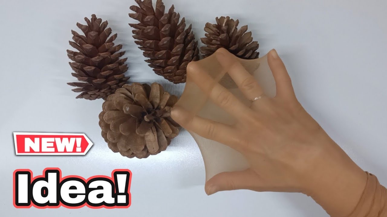 Did Something That Has Never Been Done Before, With Women's Socks And Pine Cones. - YouTube
