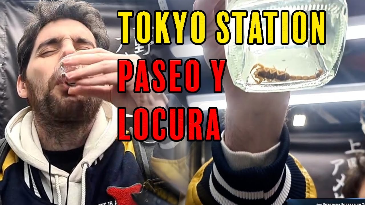 Hoy visitamos la estación más LUJOSA de Japón, TOKYO STATION - YouTube