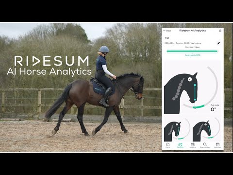 AI Horse Analytics by Ridesum - YouTube