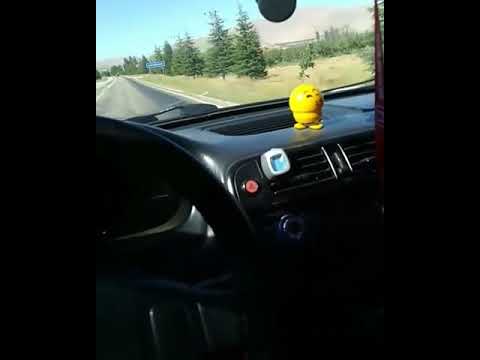 Araba Snapleri - Honda Civic