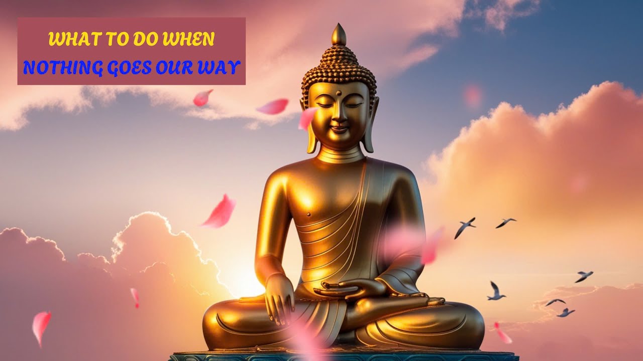 WHAT TO DO WHEN NOTHING GOES OUR WAY / Buddha's Teaching #buddha # ...