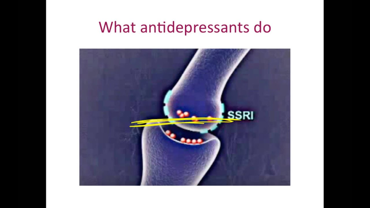 How do antidepressant medications work? - YouTube
