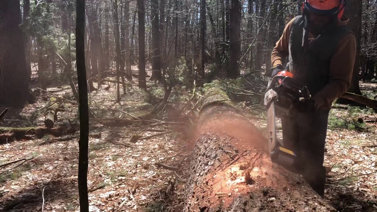 #120 Log Wizard for Peeling Logs/Short Cut? - YouTube