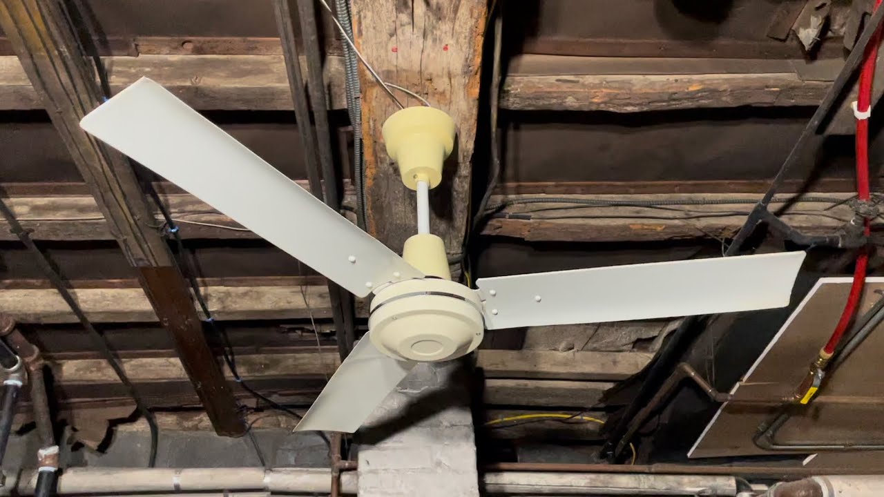 Dayton Ceiling Fan Guard | Shelly Lighting
