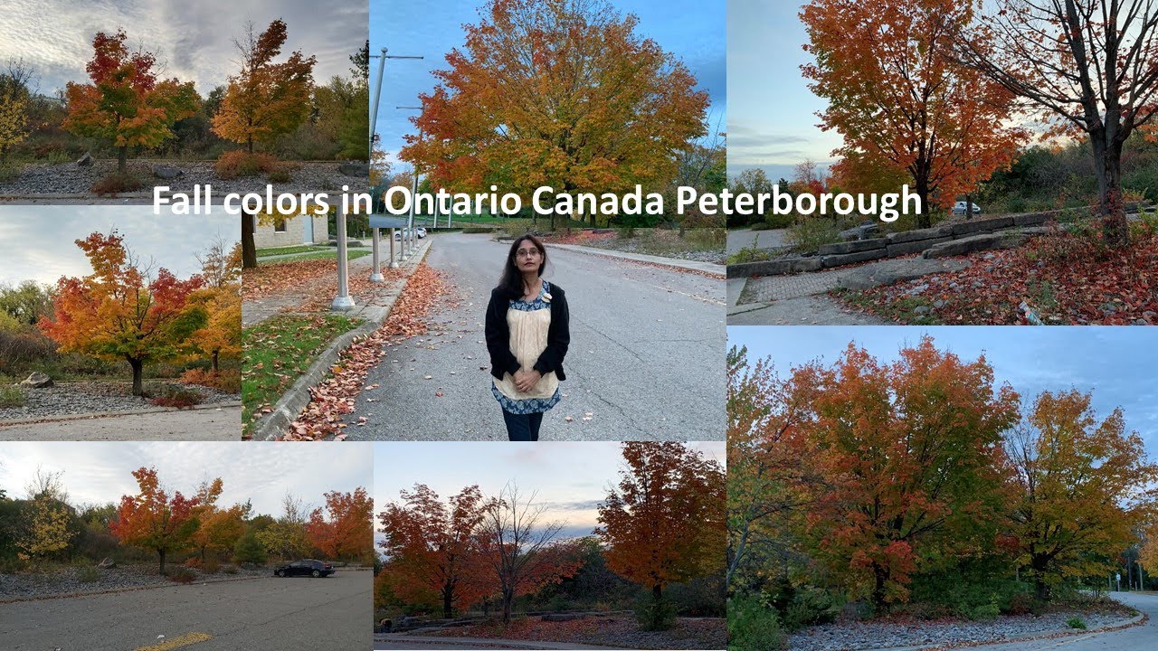 Fall colors in Ontario Canada Peterborough | Autumn colors - YouTube