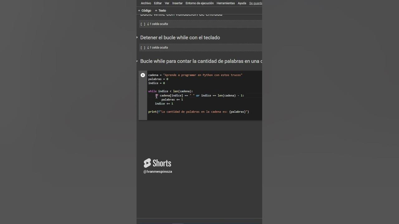 ¿Cómo Usar un Bucle While en Python para Contar Palabras en un Texto? - YouTube