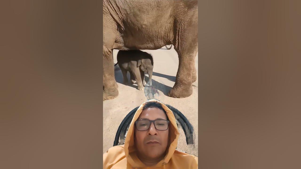 24 February 2025 - YouTube