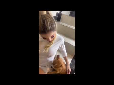 Mi mascota es engreída #shorts