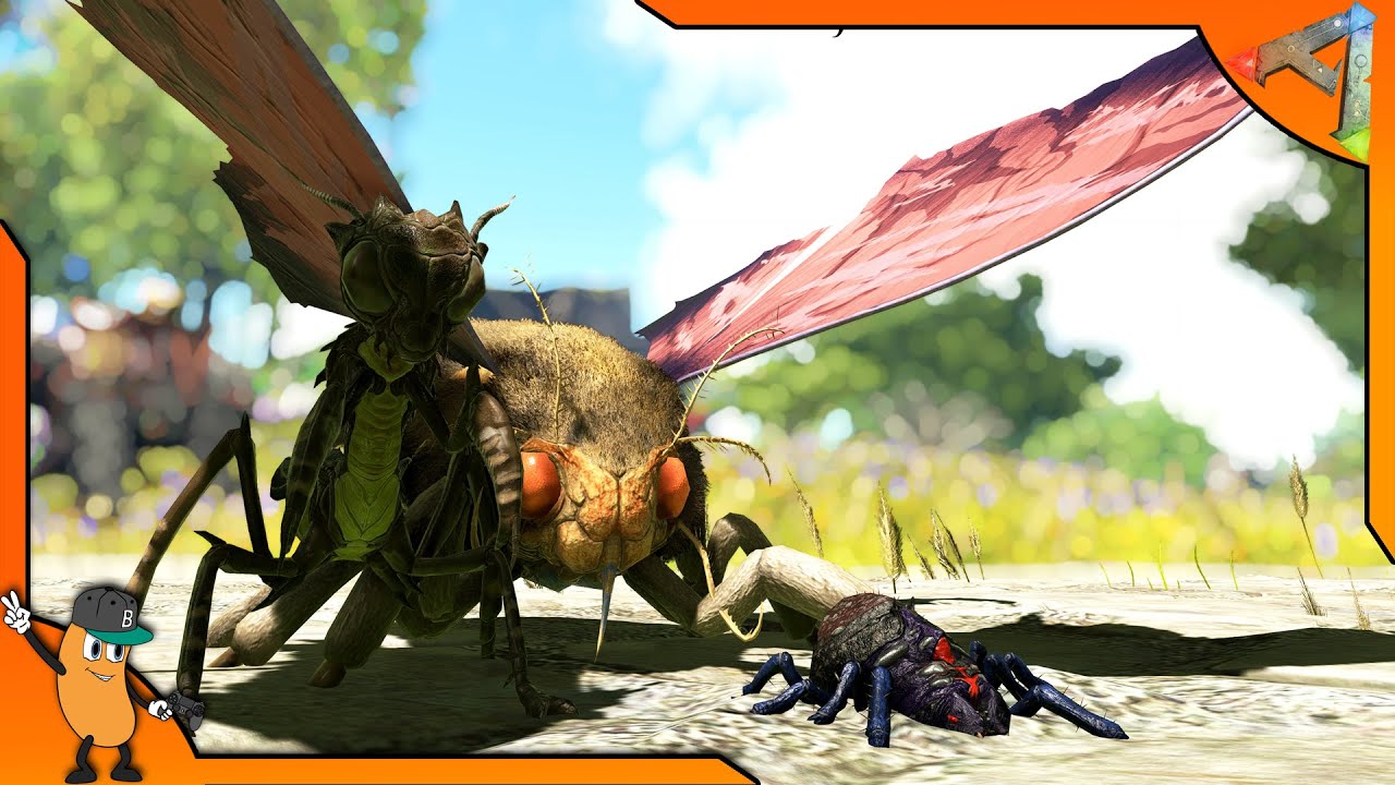 FIRST LOOK AT INSECT BREEDING! | WHAT DO THEY EAT, EGG STYLE AND ...