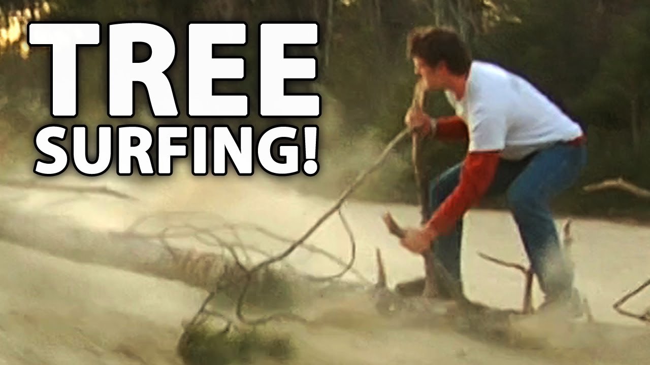 Epic Tree Surfing With Jory Caron! - YouTube