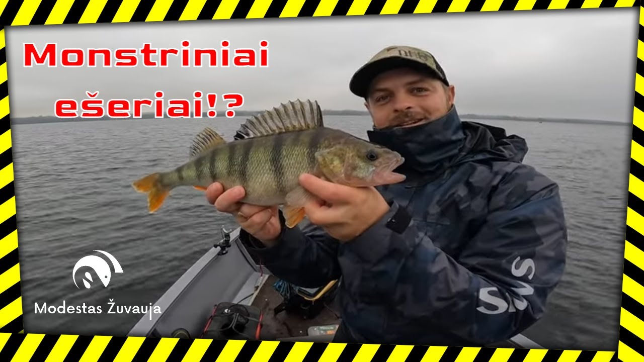 Dusios ežeras ir fantastiška ešerių žvejyba su spiningu rudenį - YouTube