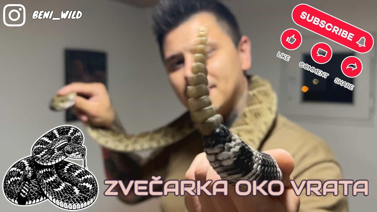 OPASNA ZVECARKA OKO VRATA - YouTube