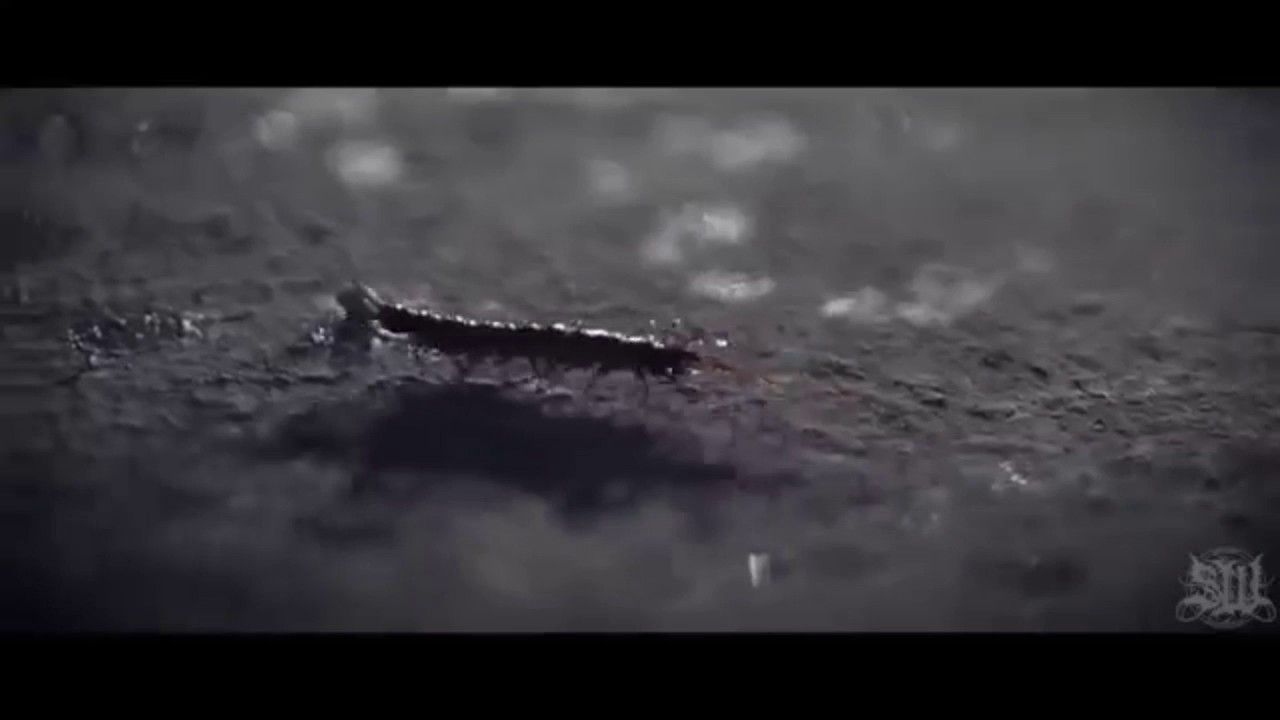 WITHIN DESTRUCTION - VOID [OFFICIAL MUSIC VIDEO] (LEGENDADO PT-BR ...