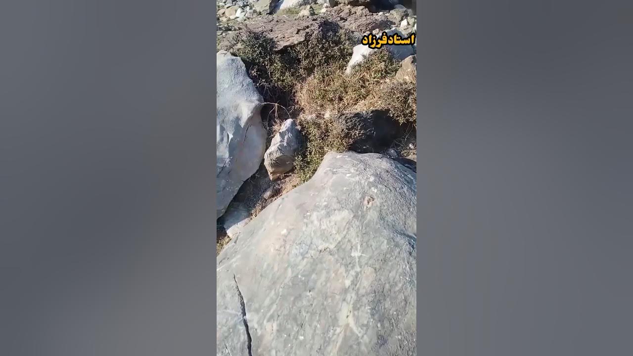 archaeology treasure hunt | treasure signs and symbols | metal detecting | how to find treasure ...