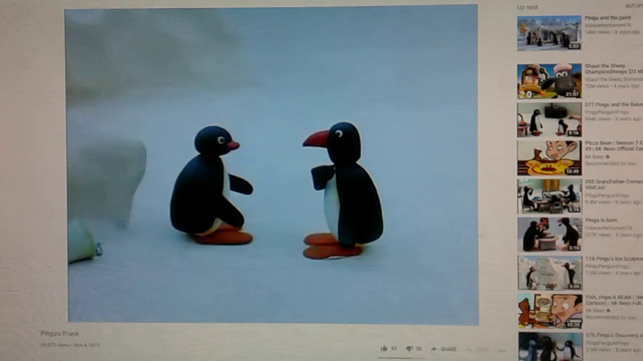 PBS Kids Sprout Split: (pingu) Later On Sawga, Next Caillou (20 ...