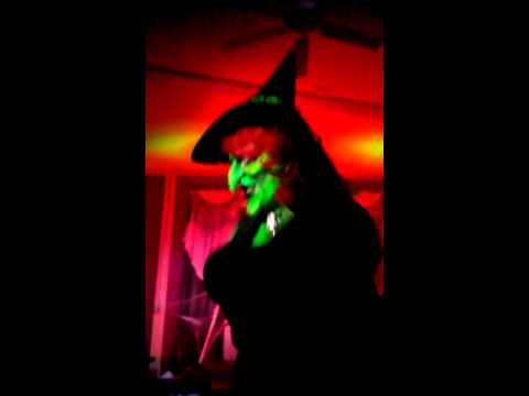 Roxy Renee Ross as Hagitha the witch
