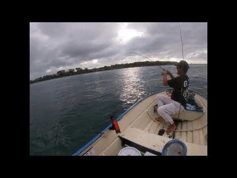 How to catch fish! (Yabbies the ultimate estuary bait) - YouTube