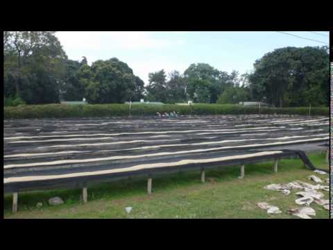 Horseback Safari in Tanzania with Makoa-Farm Part 1 - YouTube