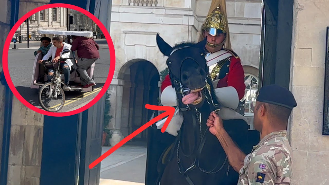 Guard Almost Fell from Horse, Mayhem Caused by A Silly Tricyle Tuk Tuk ...