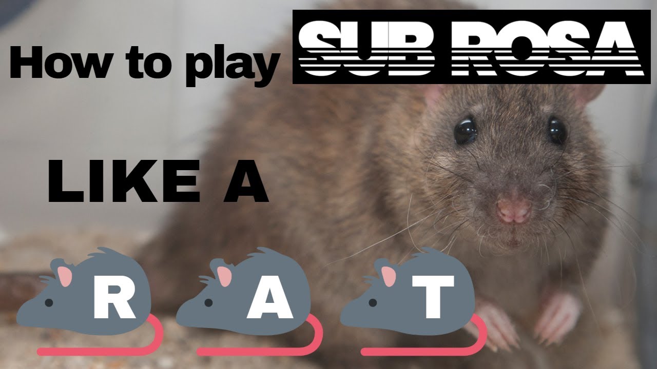 How to play Sub Rosa - Like a RAT - YouTube