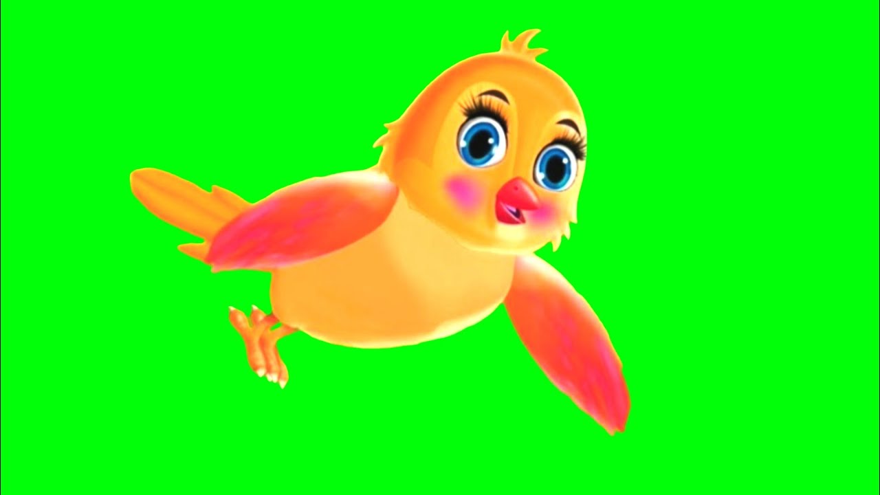 Flying tuni chidiya in green screen free copy right - YouTube