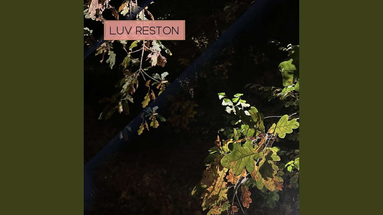 Monkey Mind - YouTube