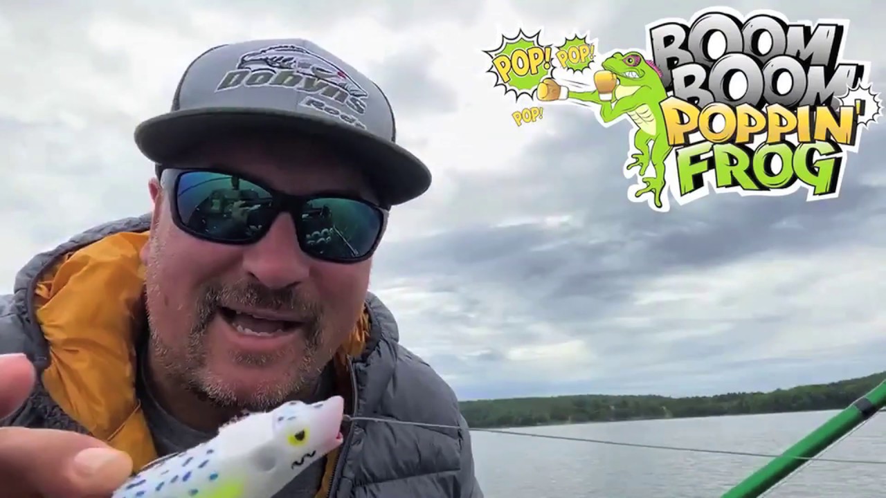BOOM BOOM Poppin' Frog video - YouTube