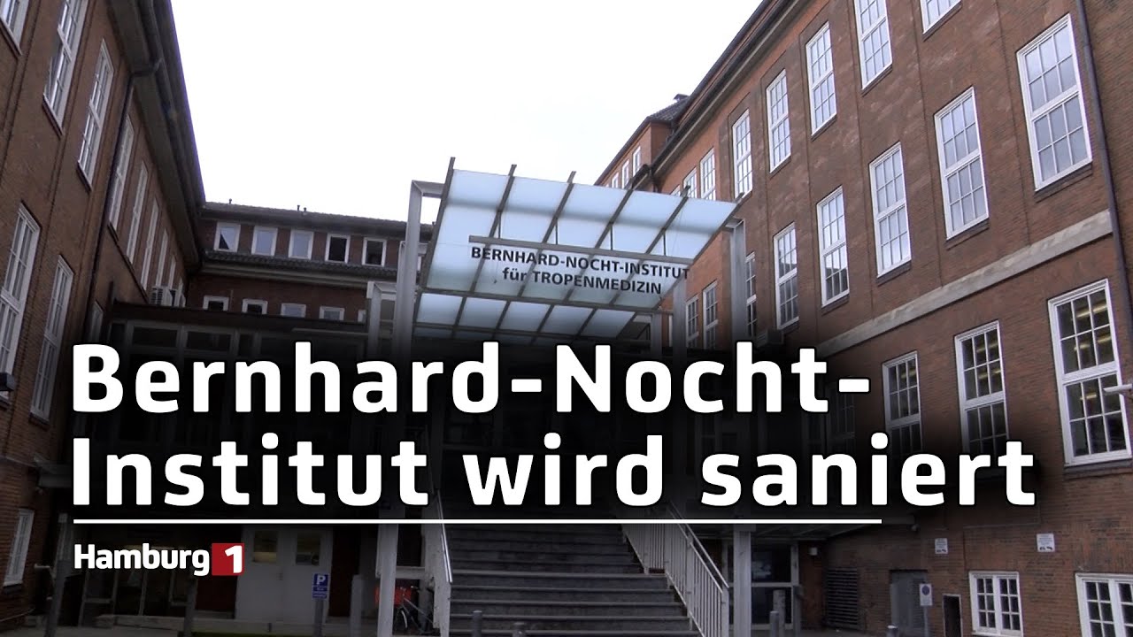Sanierung: Bernhard-Nocht-Institut für Tropenmedizin wird modernisiert ...