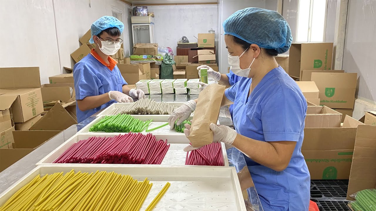 ECO Products - Process of making Vegetable Straws - YouTube