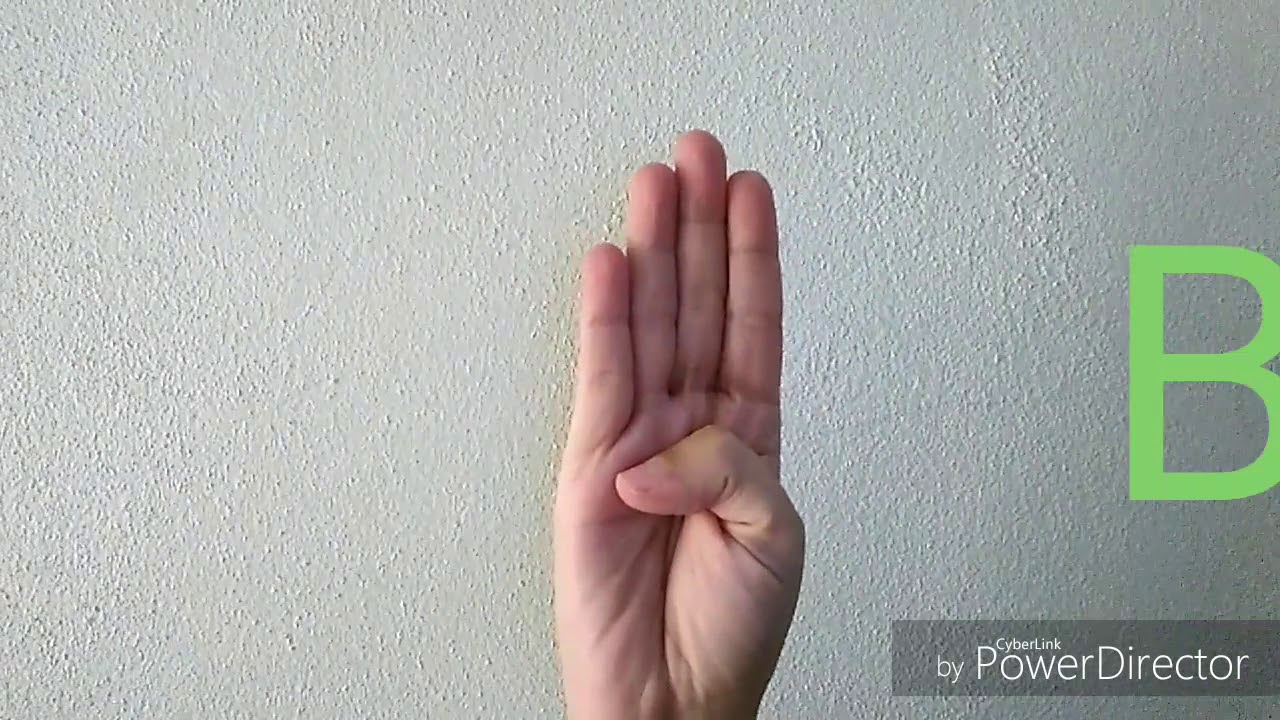 Abecedario de LESCO - YouTube