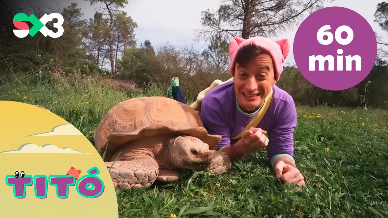 Especial una hora d'excursions de Titó amb animals | Titó - YouTube