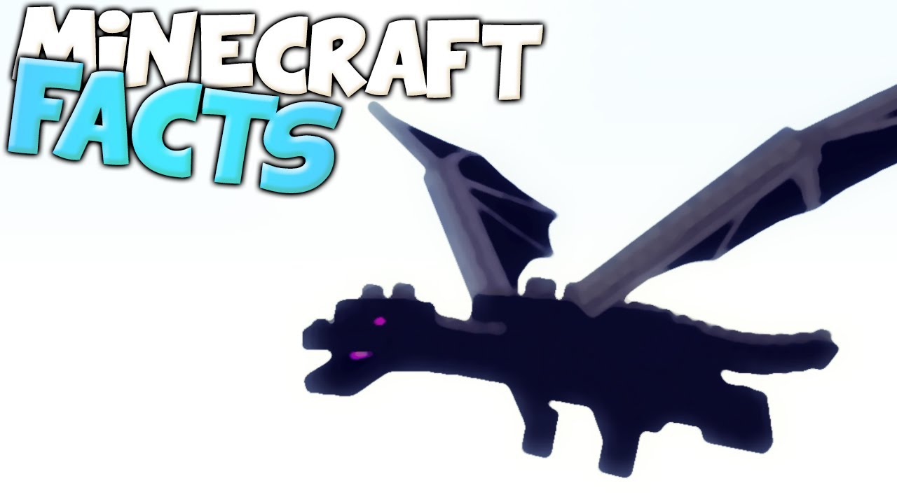 ENDERDRACHE ohne SCHADEN! | Minecraft Facts #36 - YouTube