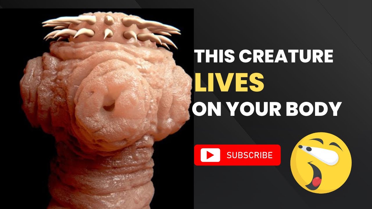 Strange creature that lives on your body 😱 - YouTube