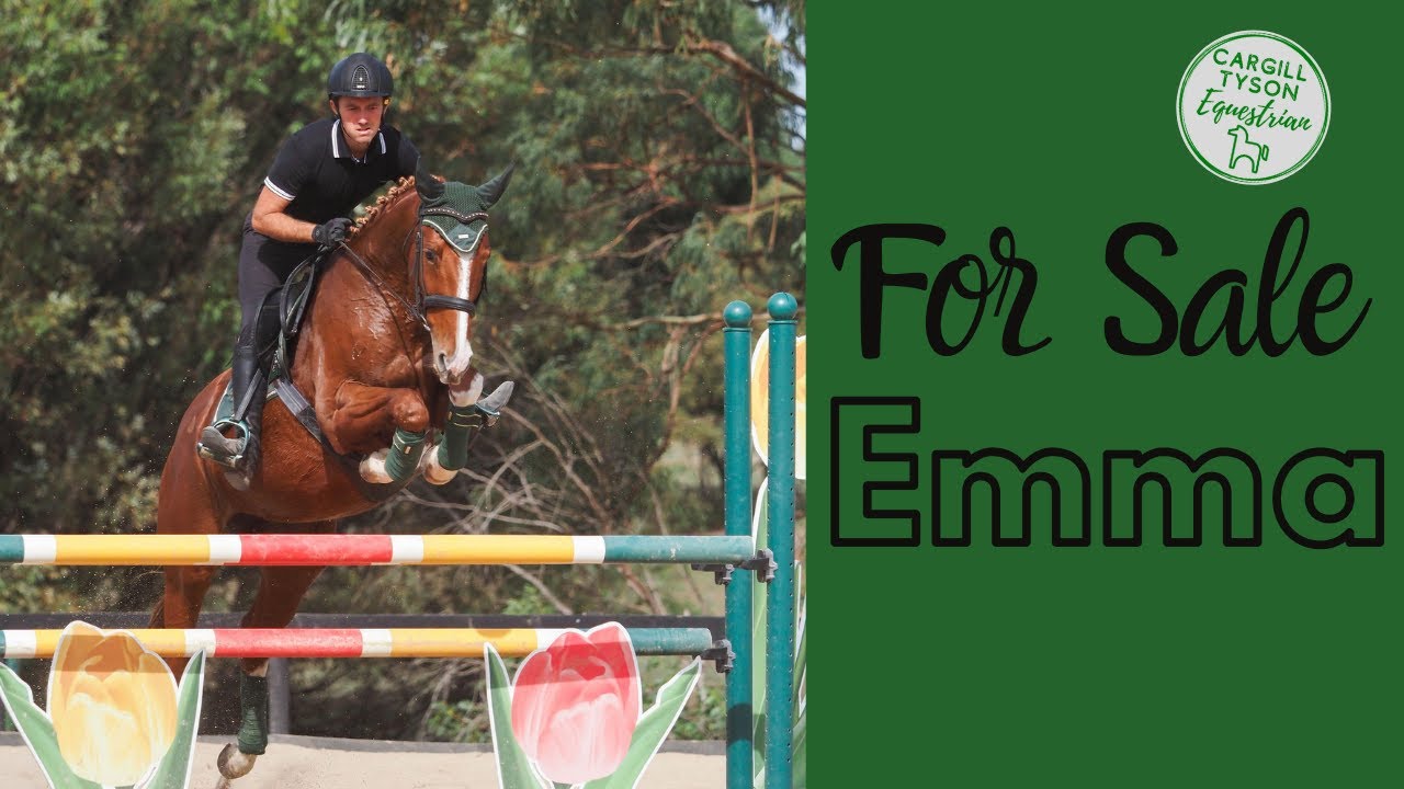 For Sale - Emma - Full advertisement COMING SOON - YouTube