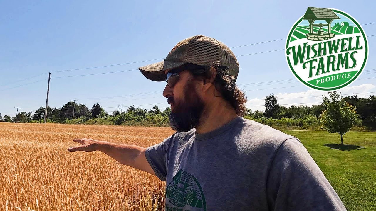 THE UNTOLD SIDE OF VEGETABLE FARMING: UNIQUE AND ODD JOBS ON OUR FARM ...