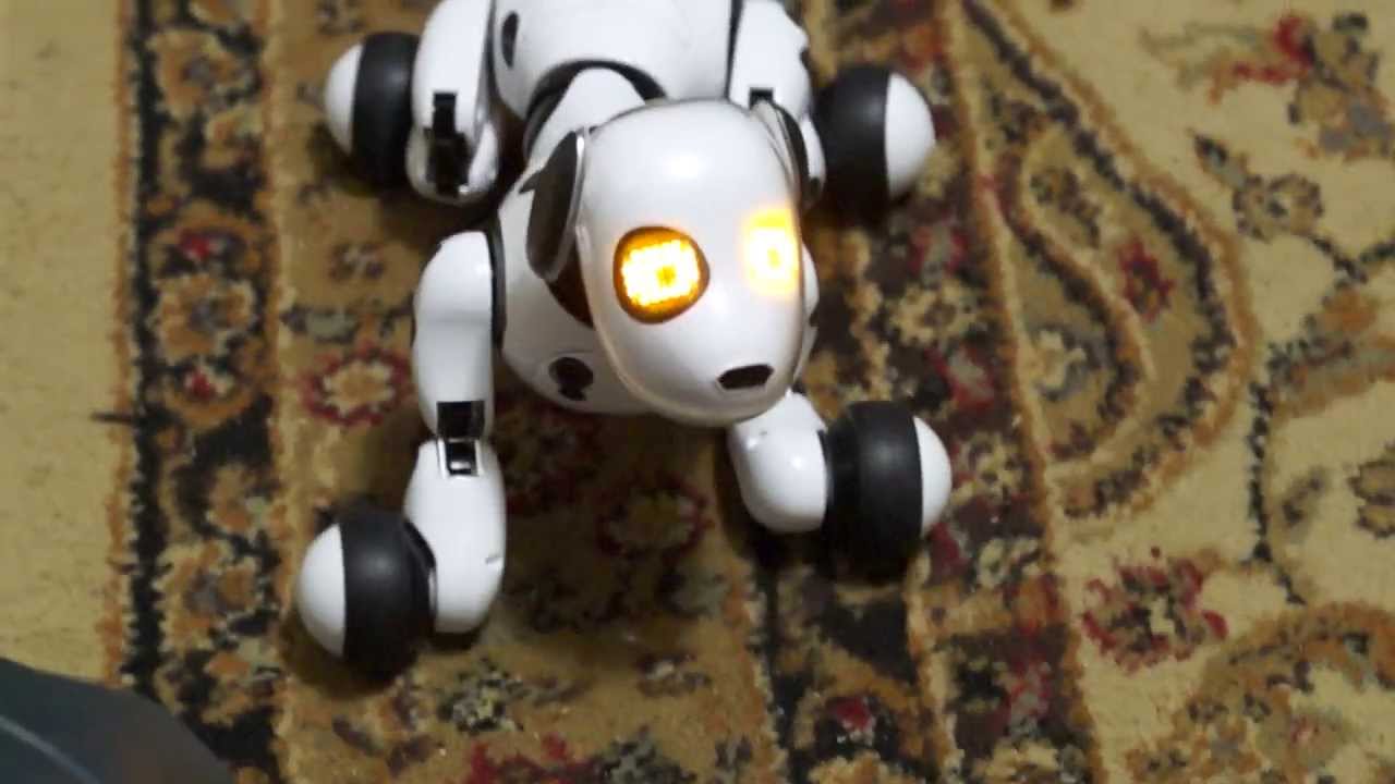 Zoomer The Robot Dog ( My niece won't let me train him lol) - YouTube