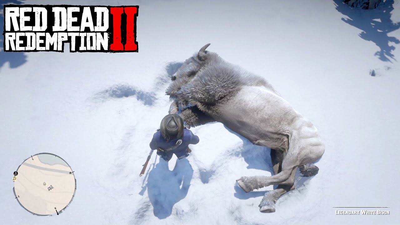 RDR2 How to hunt Legendary White Bison - YouTube